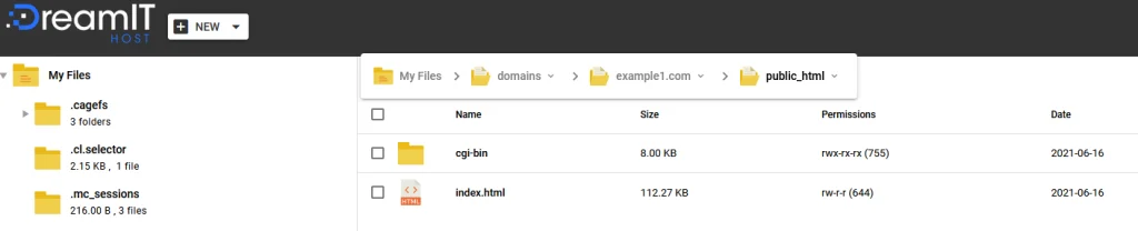 DreamIT Host - How to Create a PHP Info File in DirectAdmin